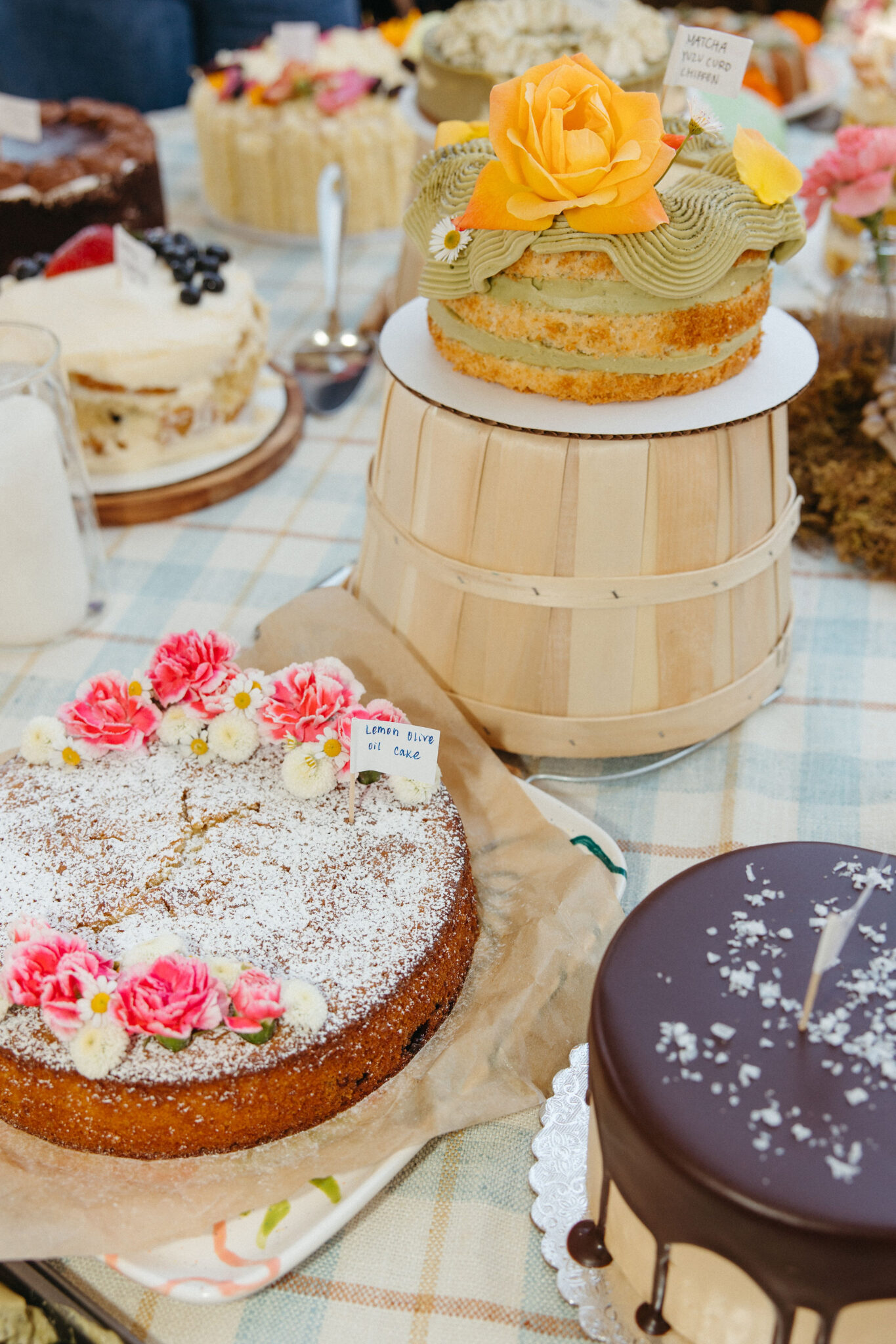 Cake Picnic | earthandevents.com