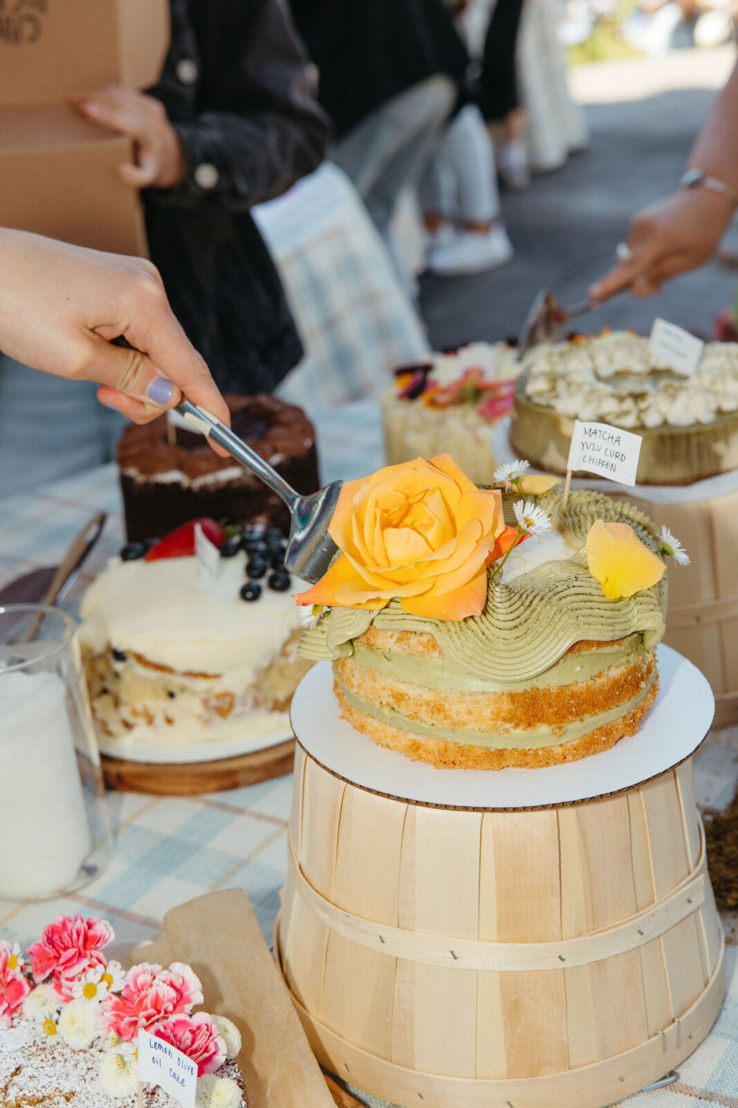 Cake Picnic | earthandevents.com