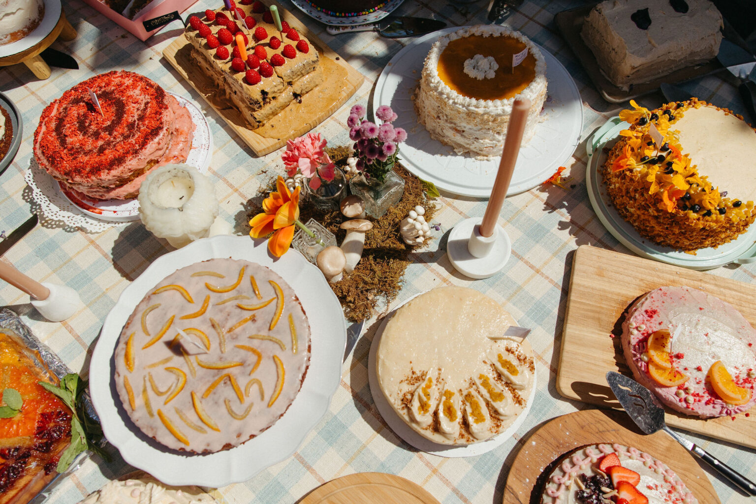 Cake Picnic | earthandevents.com
